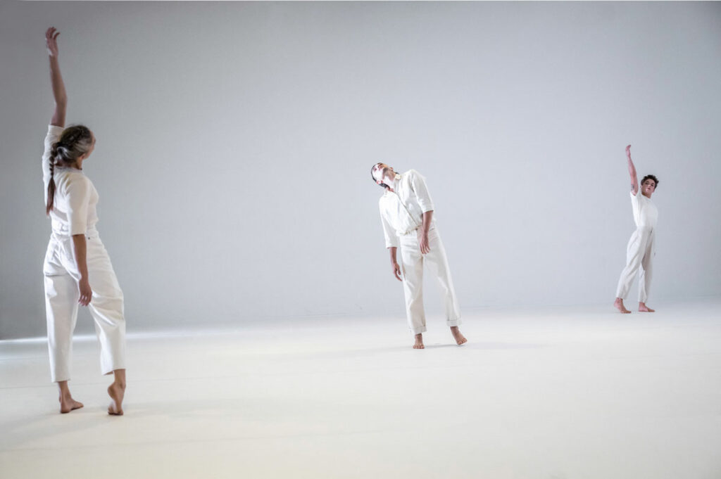 a pebble falling on a silent lake – vaya