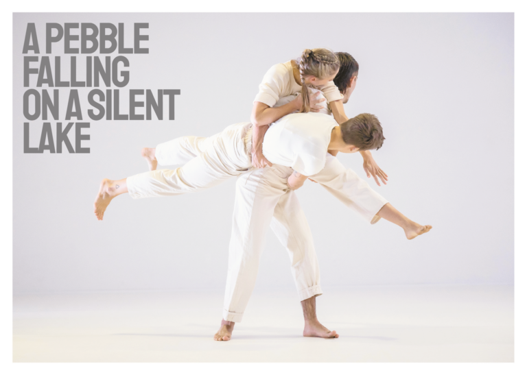 a pebble falling on a silent lake – vaya